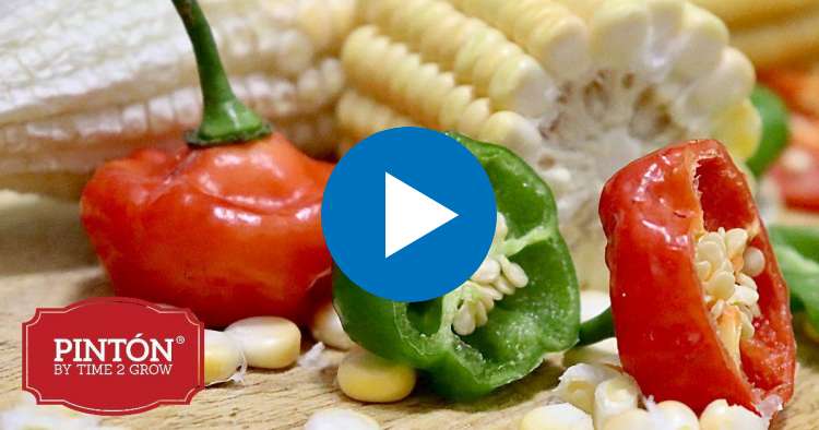 Empresario cubano en Miami crea Pintón, marca de ají cachucha y sus ...