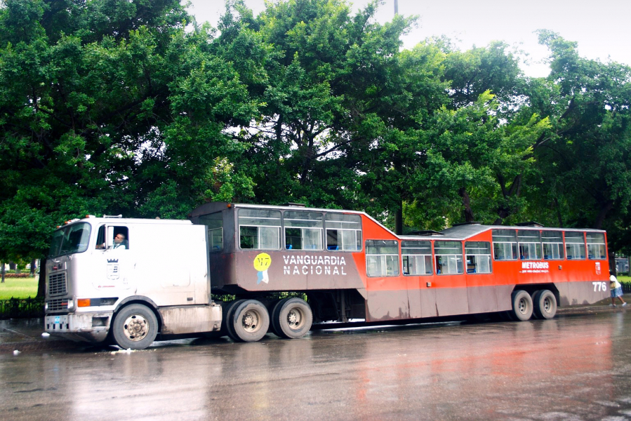 Camello en La Habana - CiberCuba