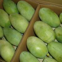 GALERÍA: 10 frutas preferidas por los cubanos