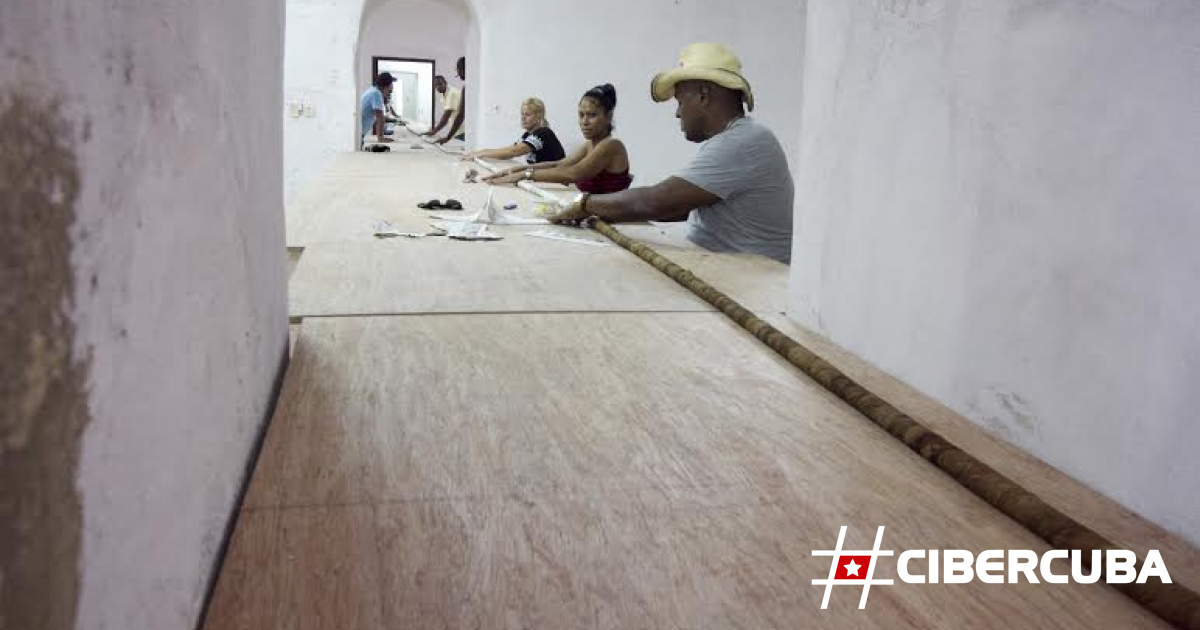 Expertos tabaqueros colaboran - CiberCuba