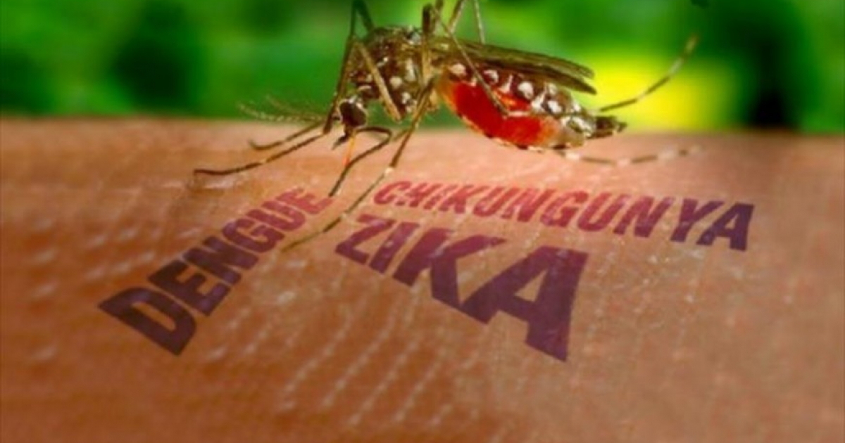 Estudio revela que crisis en Venezuela provoca aumento de la malaria ...