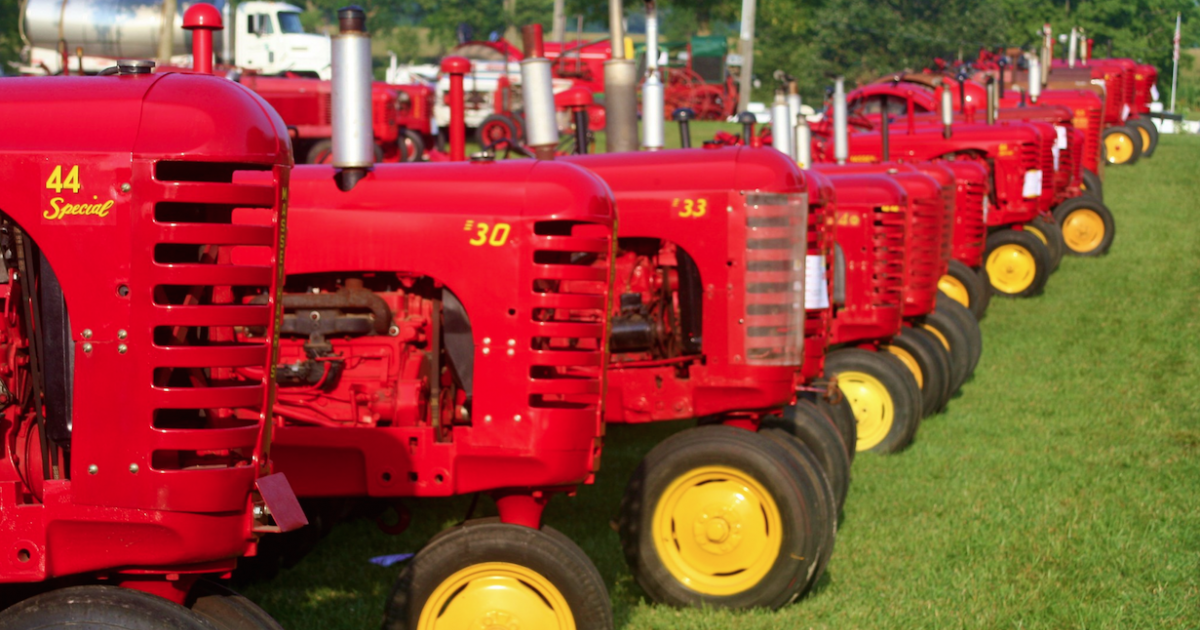 Importar desde Cuba: el largo y sinuoso camino