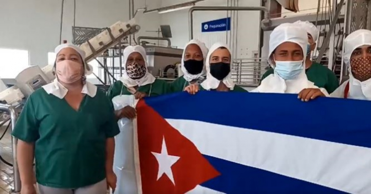 PRODAL celebra su producción y las redes estallan en burlas: "¡Viva el ...