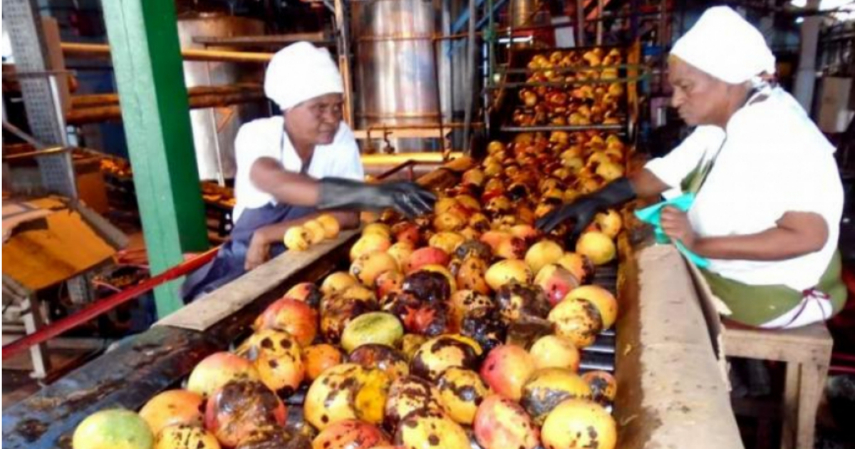 Cierre de fábricas de conservas afecta entrega de compota para niños en ...