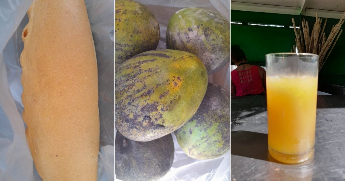 Periodista oficialista paga 180 pesos por vaso de guarapo, barra de pan ...