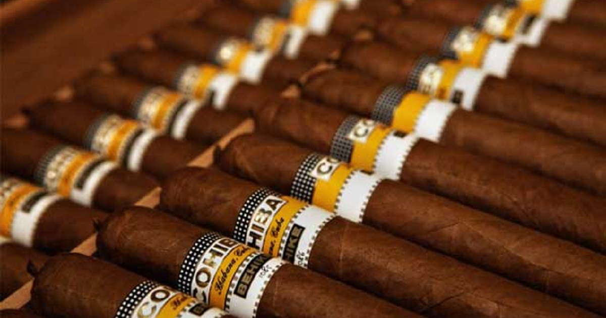 Empresa cubana Habanos pierde juicio contra un competidor de Marruecos ...