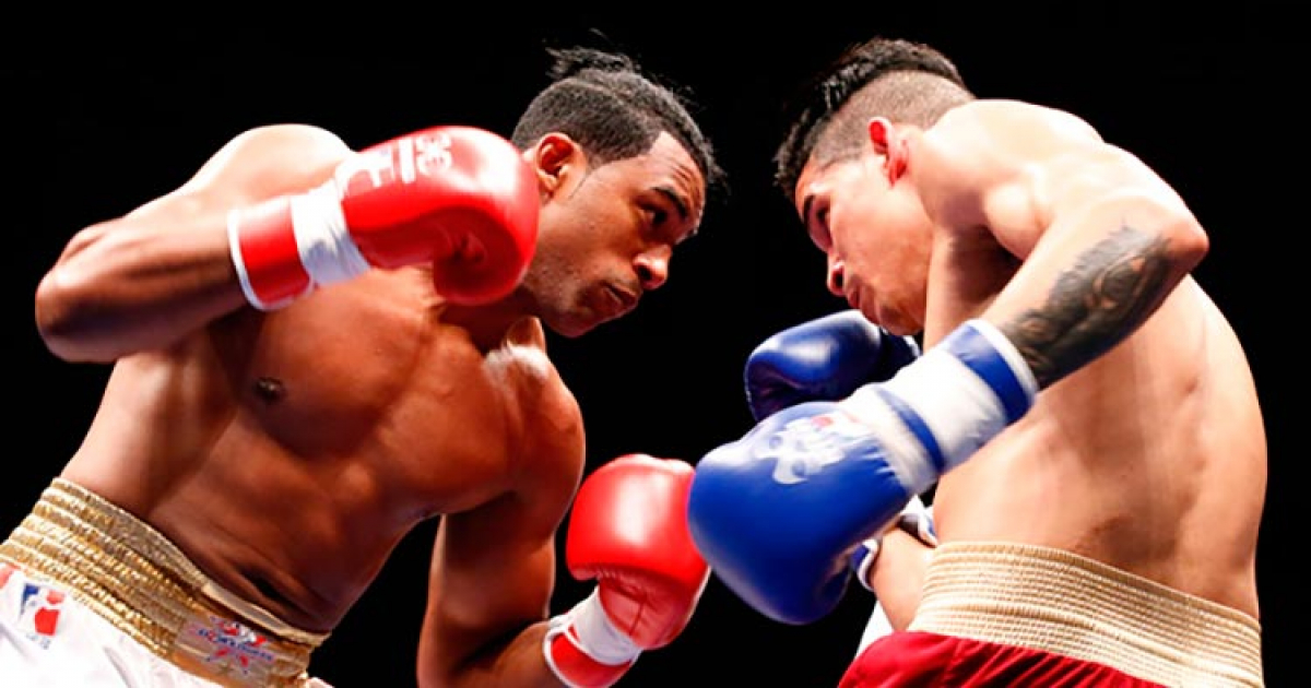 Cuba gana ocho medallas de oro en Premundial Continental de Boxeo