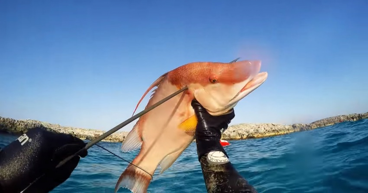 Pesca submarina en los mares de Cuba