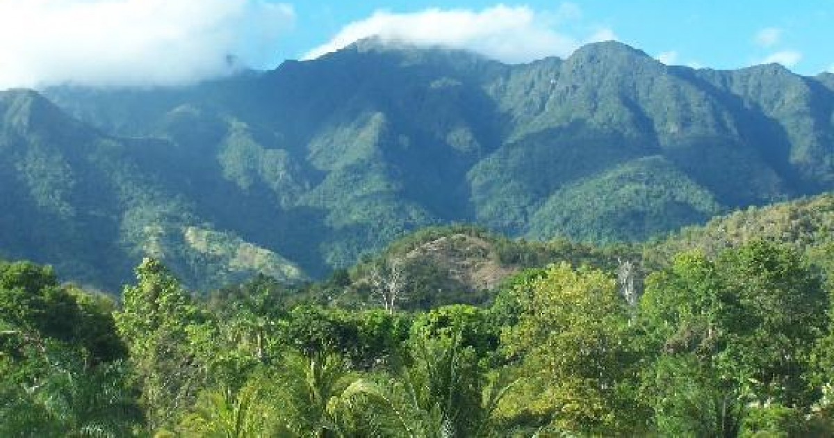 Llegar a lo más alto de Cuba: El Pico Turquino