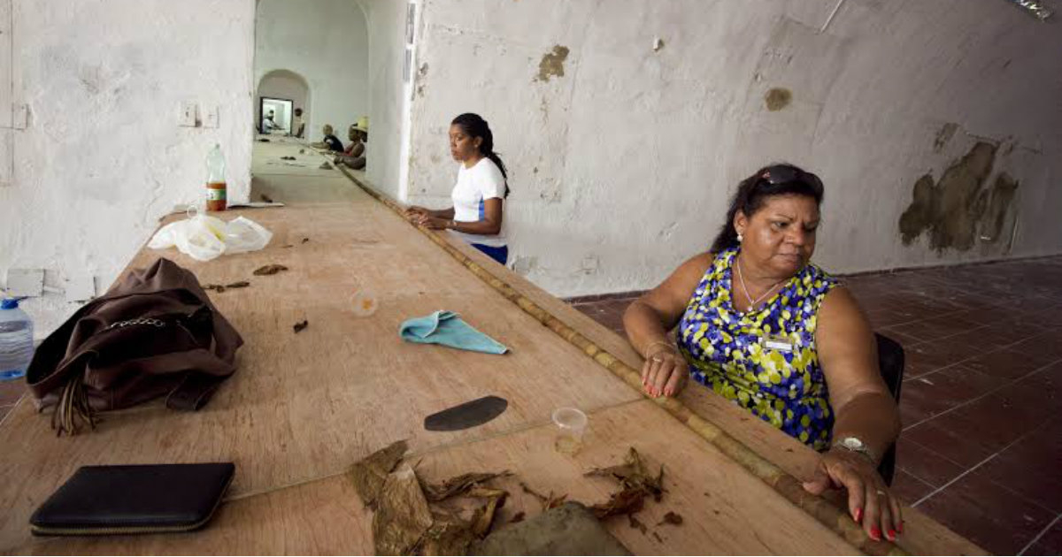 GALERÍA: Así se confecciona el tabaco más grande del mundo